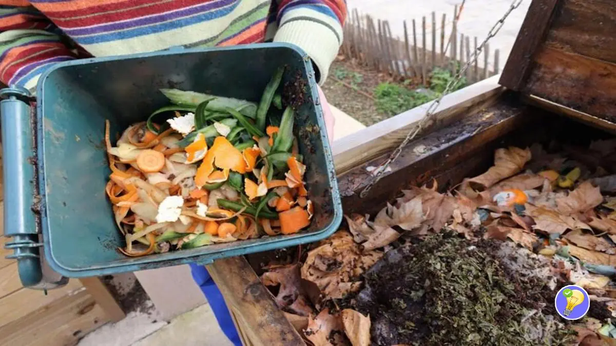 Astuces pour Apprendre et Préparer le compostage