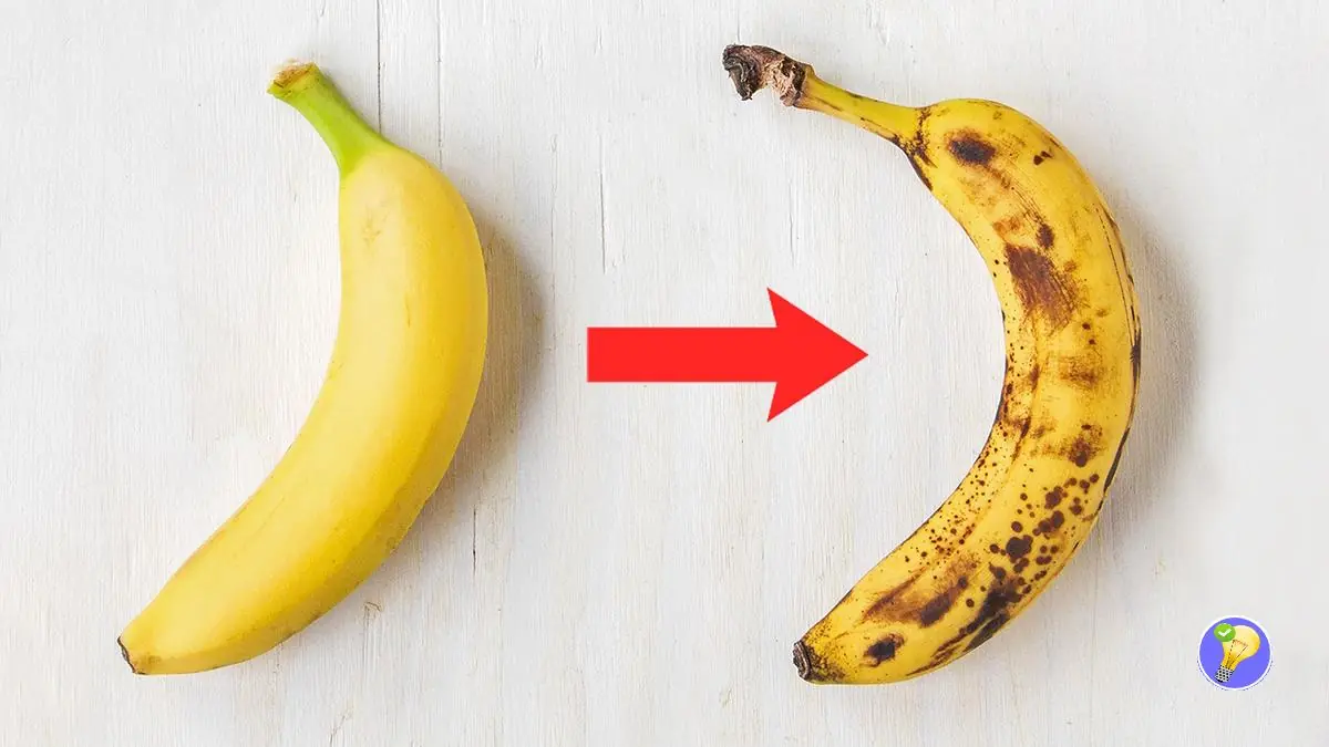 Des Bananes Mûres en un Rien de Temps : Astuces et Conseils