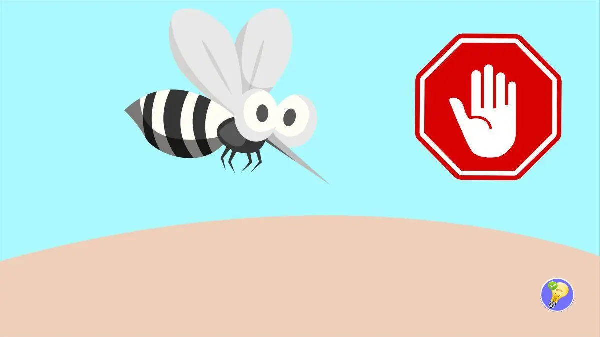 Repousser les Insectes avec 4 Astuces Naturelles