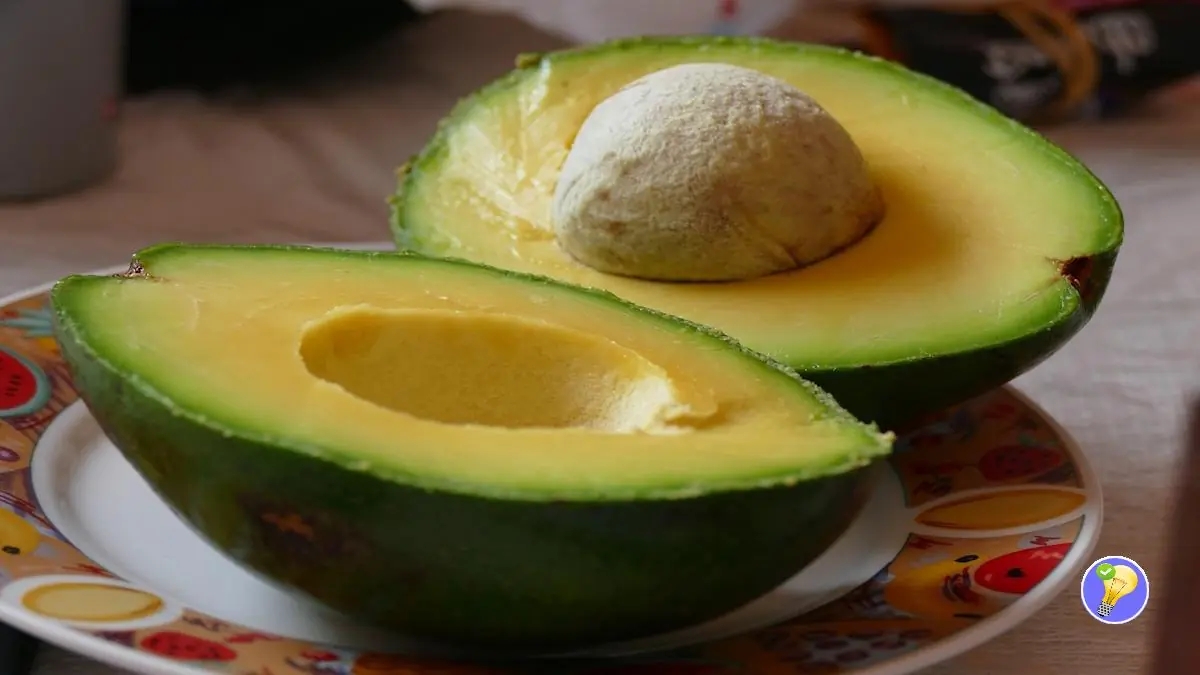 Au Cœur de l'Avocat: Entre Fruit et Légume