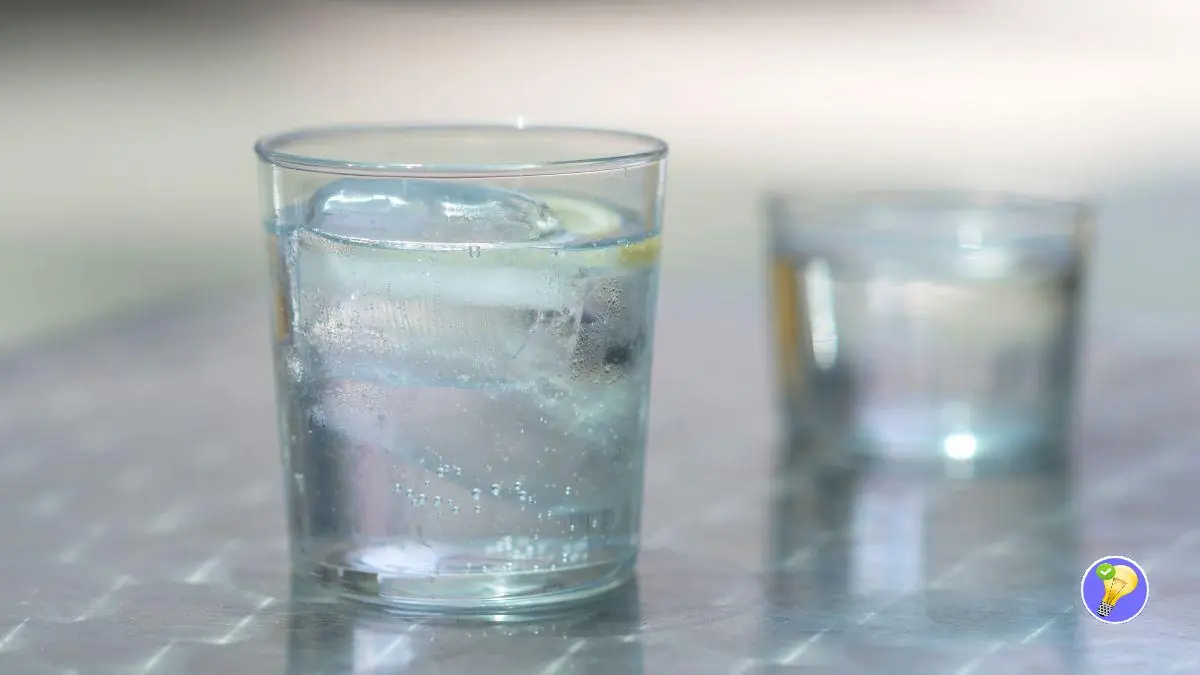 Eau Gazeuse ou Eau Plate : Quelle Est la Meilleure Option