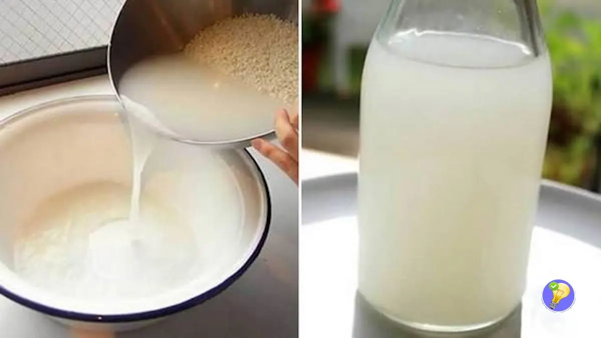 L'Eau de Riz : Votre Nouveau Rituel Beauté