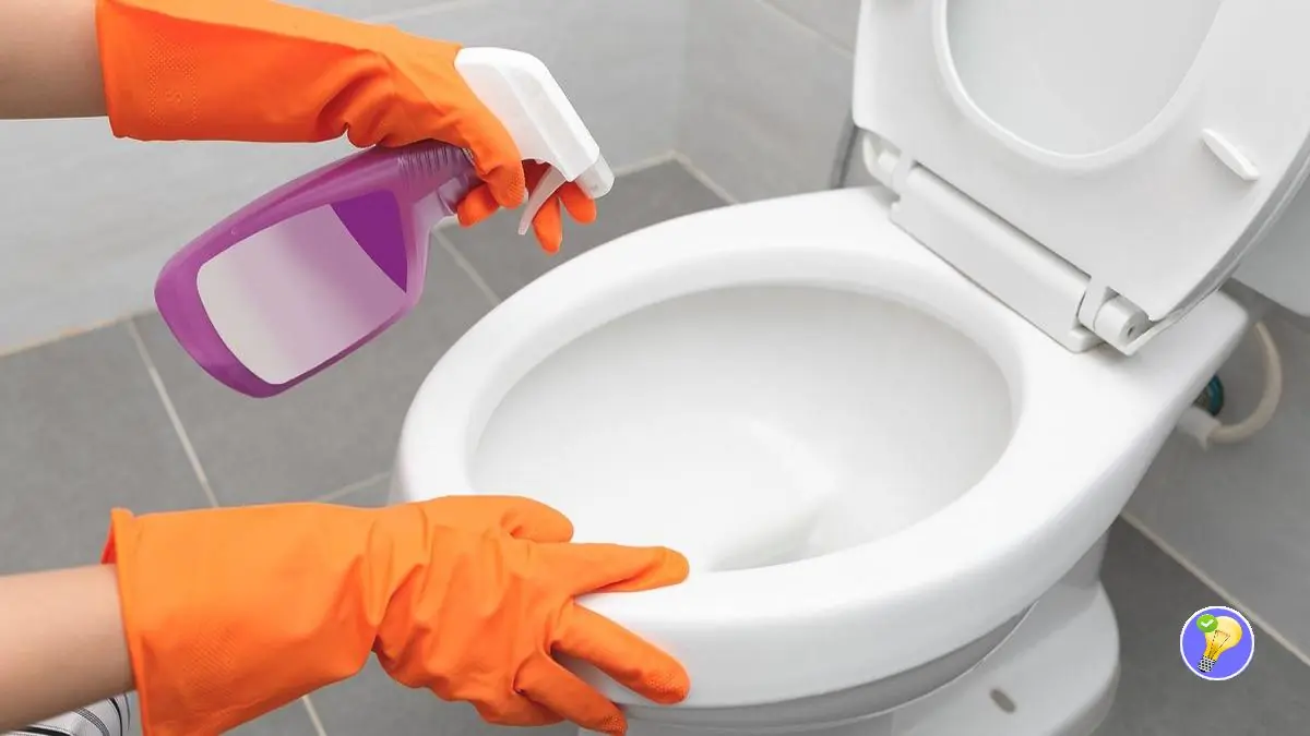 Nettoyage et Désinfection des Toilettes : Astuce naturelle et Conseils ...