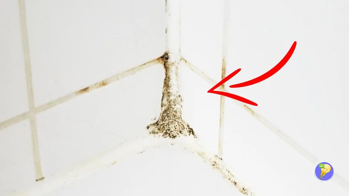 Le Trio Anti-crasse Écologique: 3 Produits pour un Bon Prix