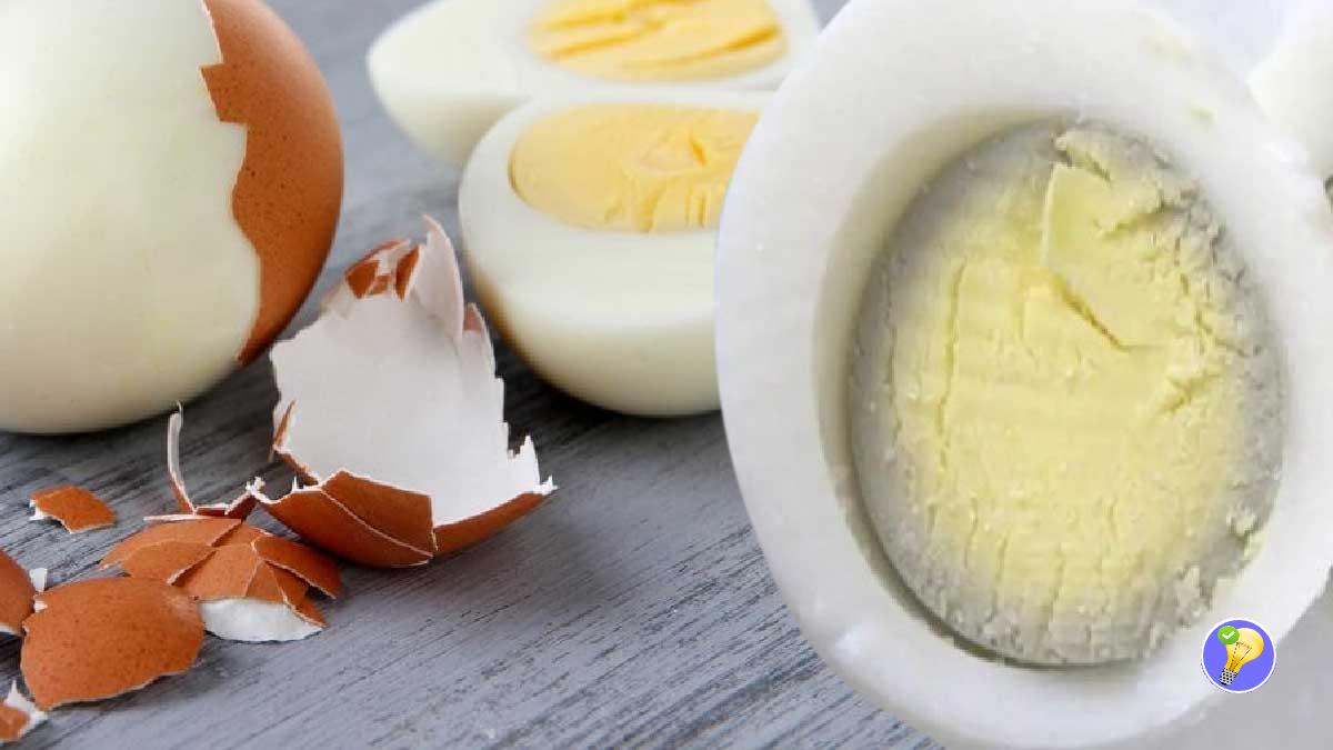 Œufs durs et Anneau vert: Tout ce que vous Devez savoir