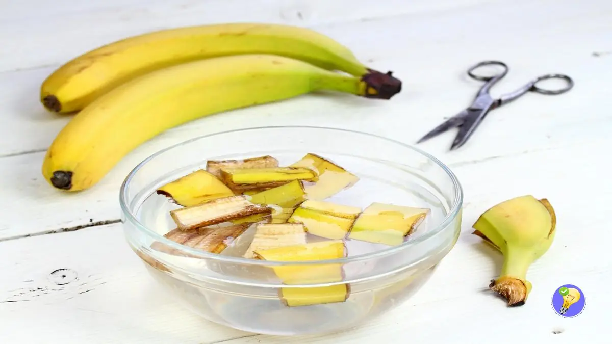 Peau de Banane : 6 Utilisations Fiables et Peu Connues