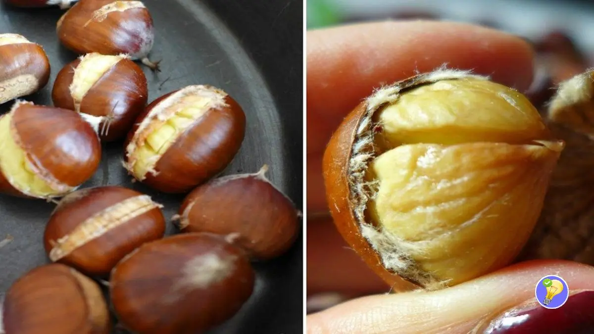 Châtaignes: Préparation Facile et Délices Gourmands