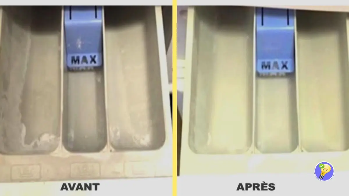 Lavez le Bac à Lessive en faisant appel à 2 Produits Naturels et Efficaces