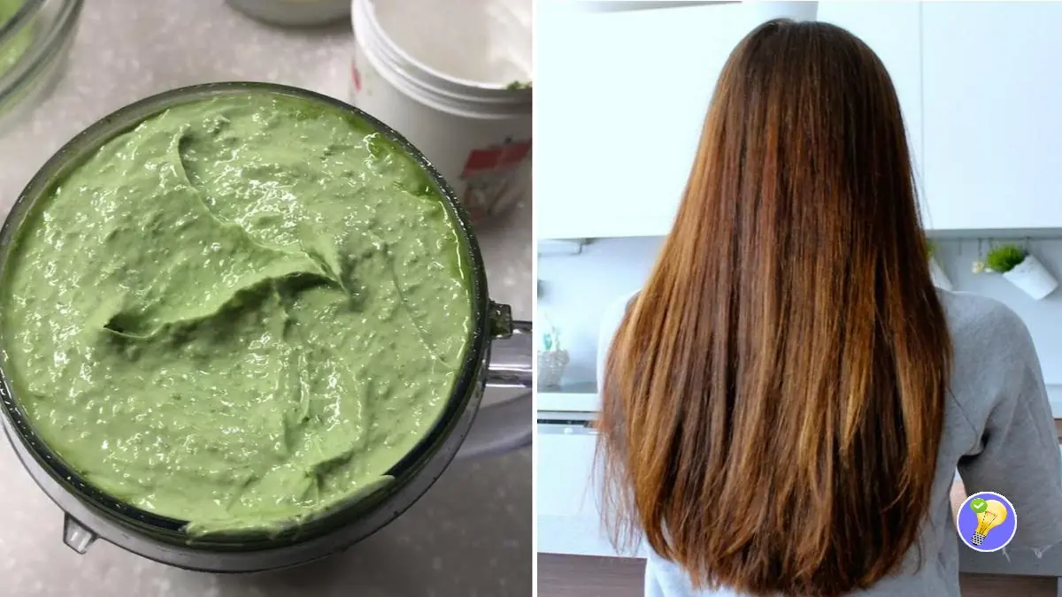 Stimuler la Croissance des Cheveux avec 2 Ingrédients Naturel