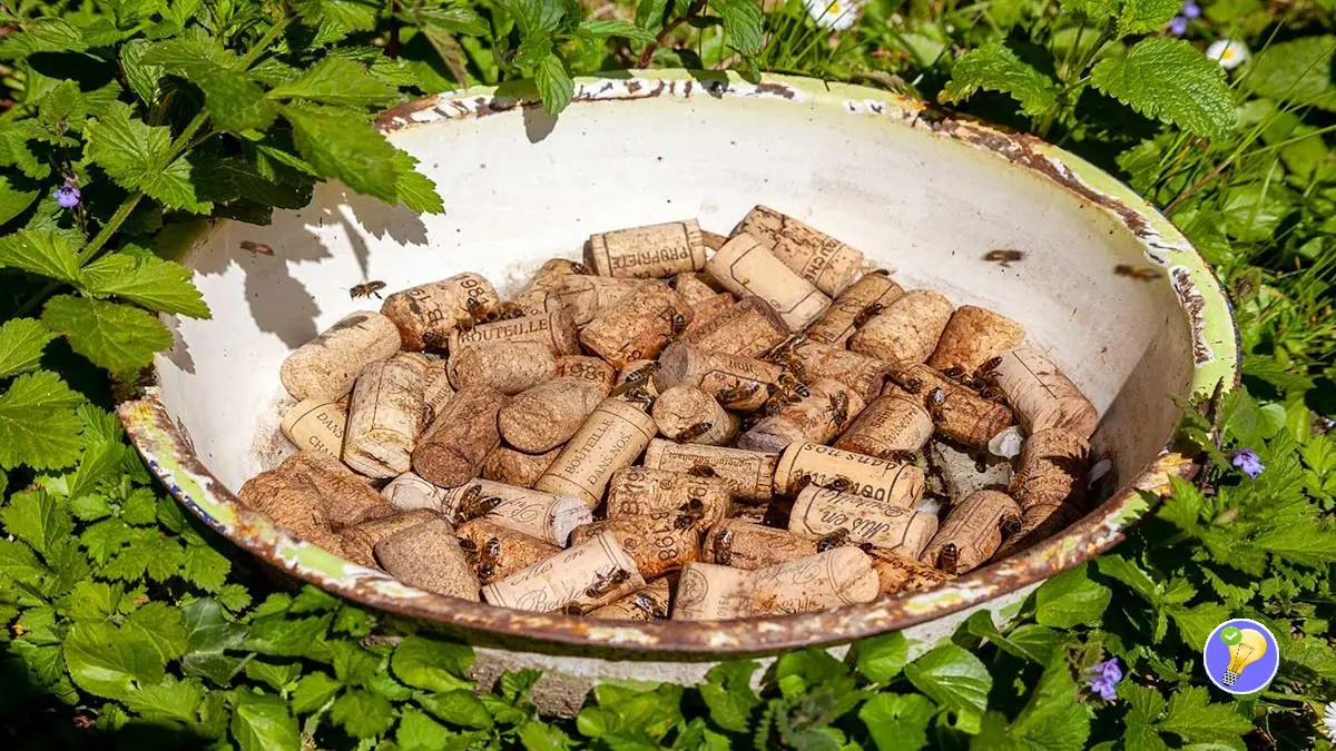 Bouchons de Liège: une Mine d'or pour le Jardinage